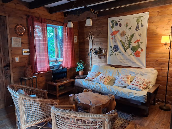 El Picaflor. A Beautiful Cabin Near The Lake. - San Carlos de Bariloche