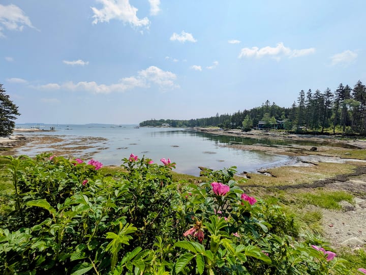 Island Rose Cottage - Crescent Beach, Owls Head