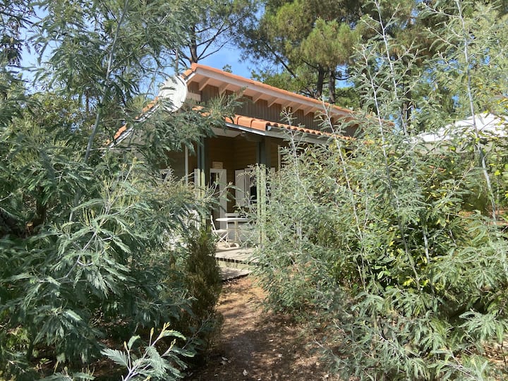 Bungalow - Vendays-Montalivet