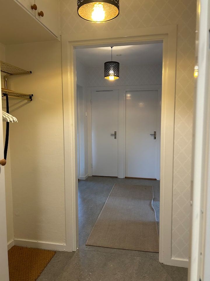 Jätte Fin 2:a I Västerås - Västerås