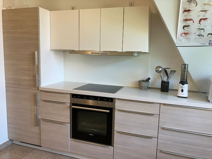 Obere Etage Einer Maisonette - Dresden