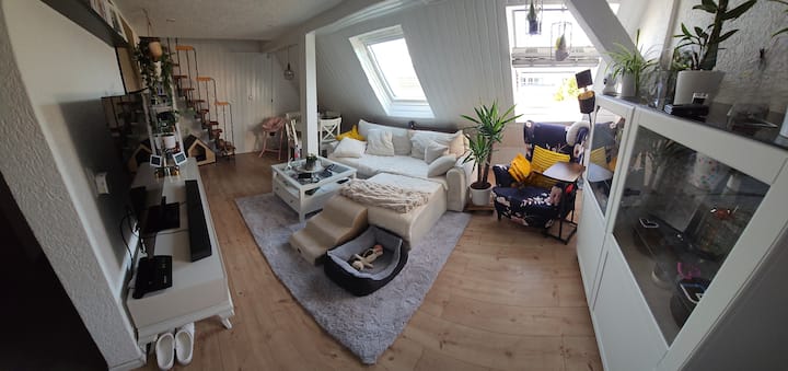 5-zimmer-maisonette In Metzingen - Metzingen