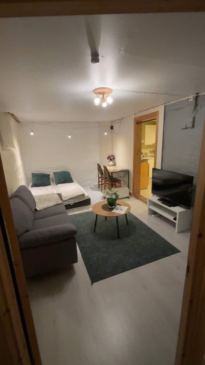 Sentral Kjellerleilighet (Hybel) - Norway