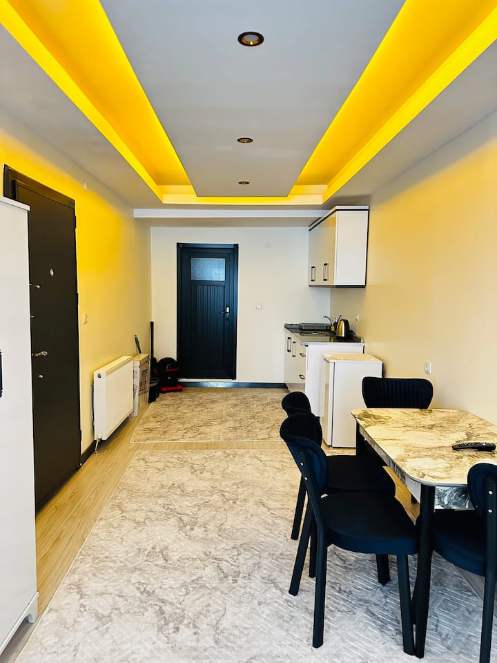 Asil Home 4 - Van