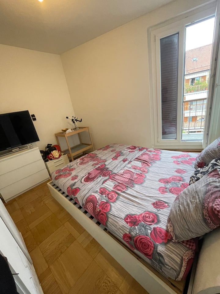 Chambre à Carouge - Carouge