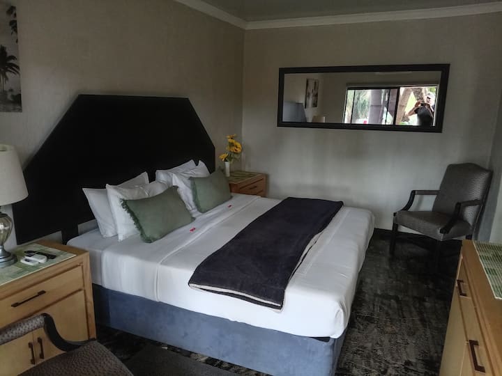 Grey Lourie - Hartbeespoort