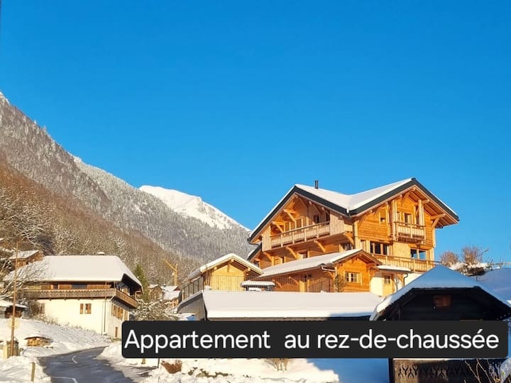 2 Bed Flat. 50m From Free Bus Stop To Ski Lifts - Avoriaz