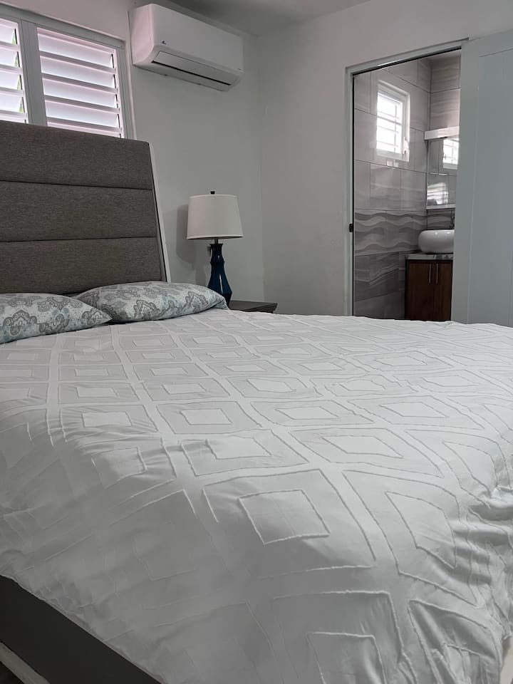 Coral Reef C, With Solar Panels - Isabela