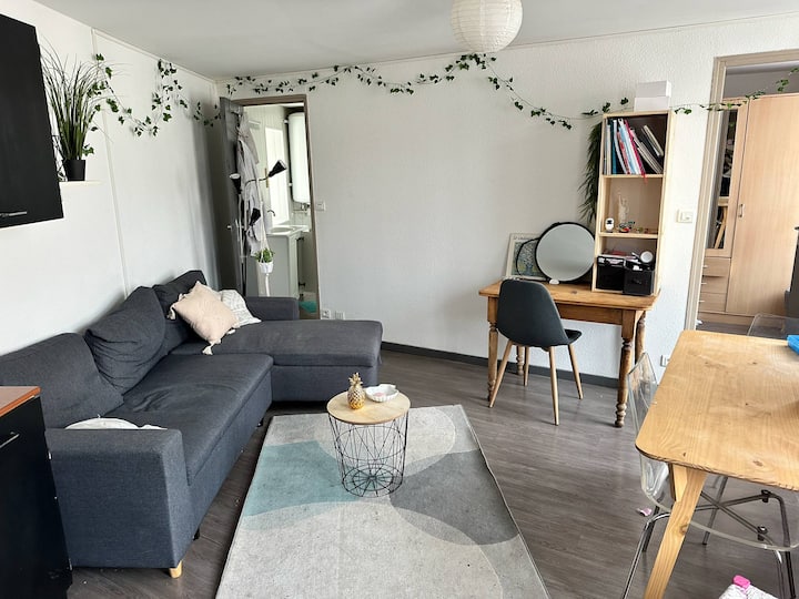 Appartement-centre-ville - Langogne