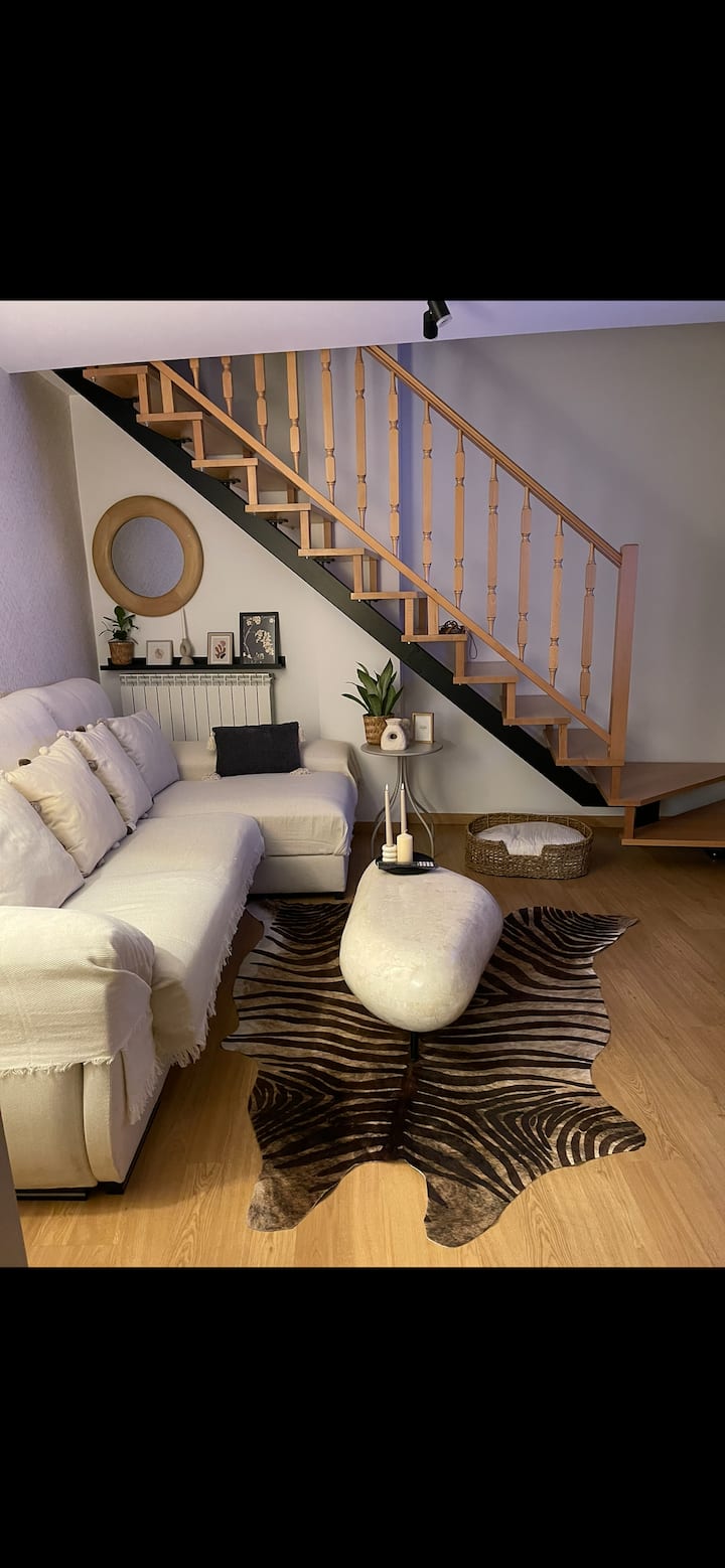 Duplex Basílica Del Pilar 
Temporada: Mínimo 1 Mes - Zaragoza