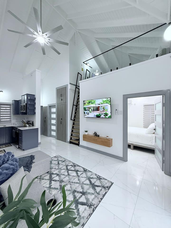 Gabrielle’s Luxury Loft Apt - Kingston, Jamaica
