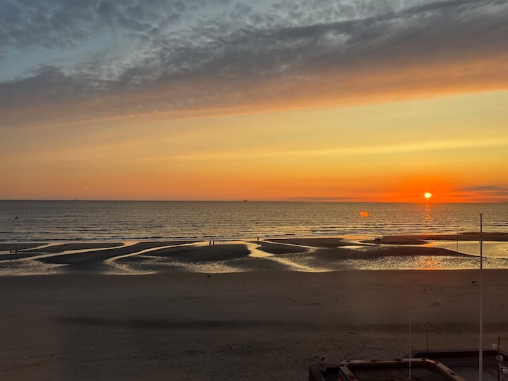 The Plaice.    Face Mer - Paso de Calais