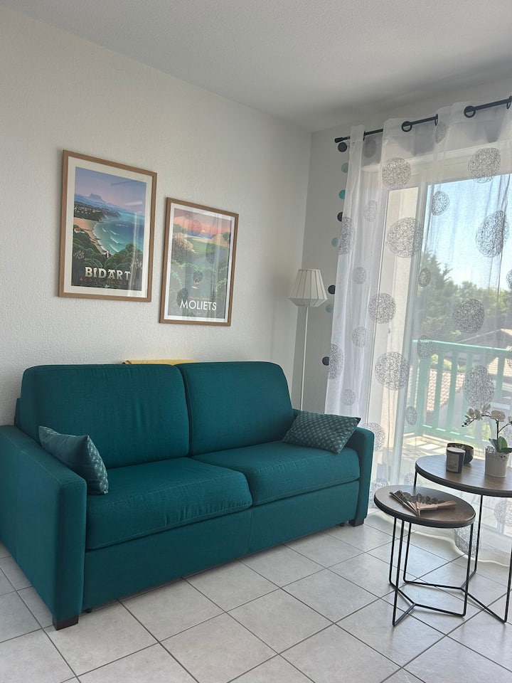 Appartement Avec Terrasse - Seignosse
