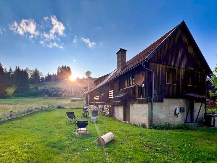 Familienidyll – Garten, Kamin, Natur, Ski, Wandern - Austria