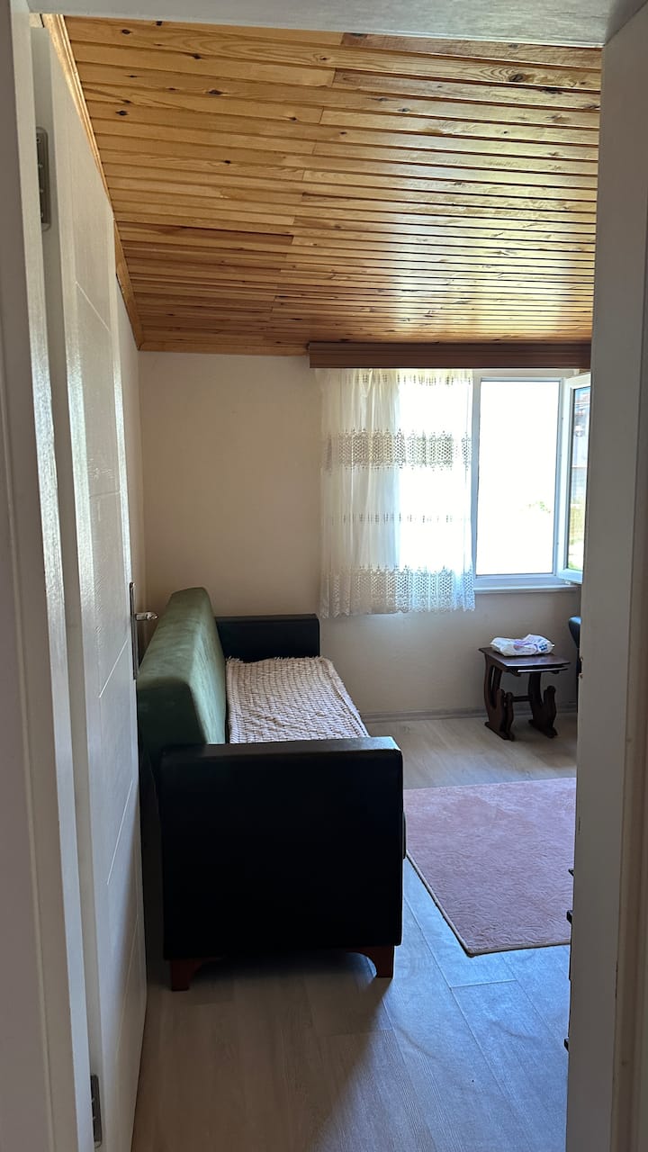 Plaja Yürüme Müstakil Ev - İzmit