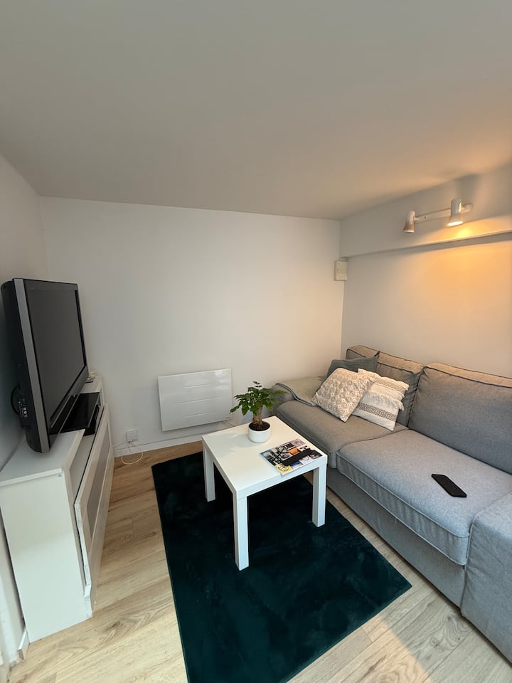 Lille : Appartement De Charme - Lille