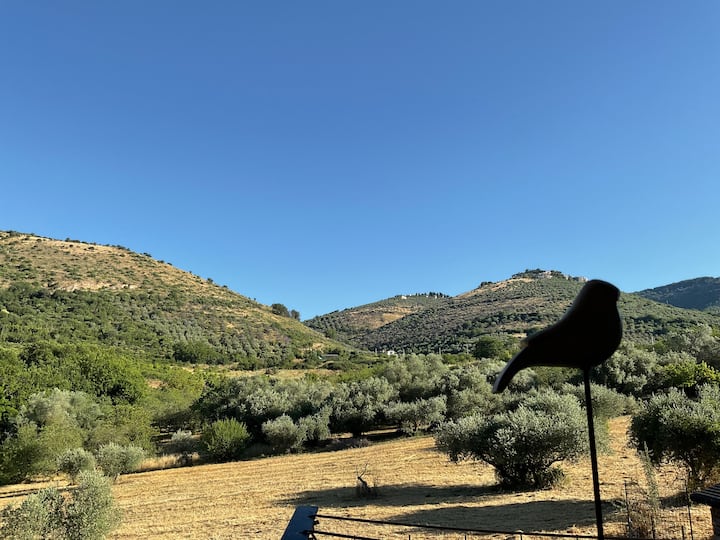 Il Posto Delle Rose 2 - Tivoli