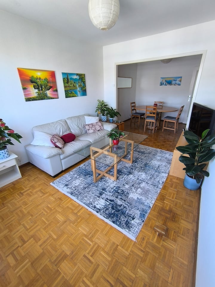 2 Bedroom Apt In Geneva Centre - Ženeva