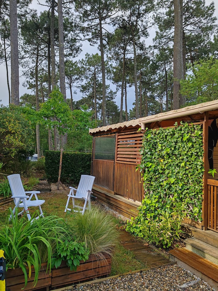 Bungalow - Contis-Plage