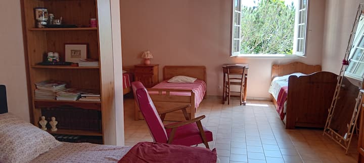Chambre  Jusque 6 Personnes - Parking Gratuit - Le Puy-en-Velay