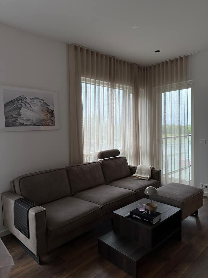 Luxury Condo In Reykjavik - Reykjavik