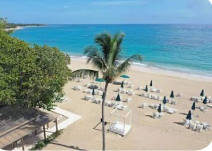 A True Refuge Of Soft Peace & Blooming Comfort - Puerto Plata
