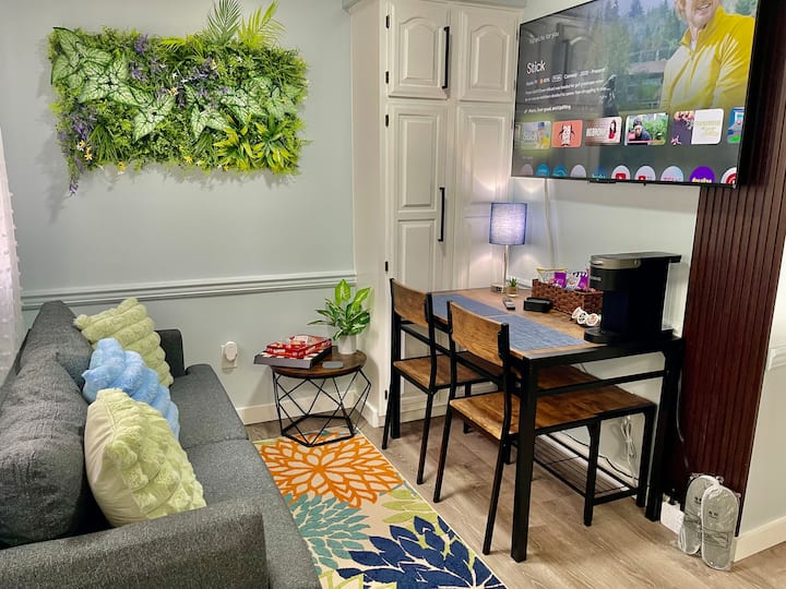 Central Location! Private, Cozy! Hospitals, Mall! - Johnson City, NY