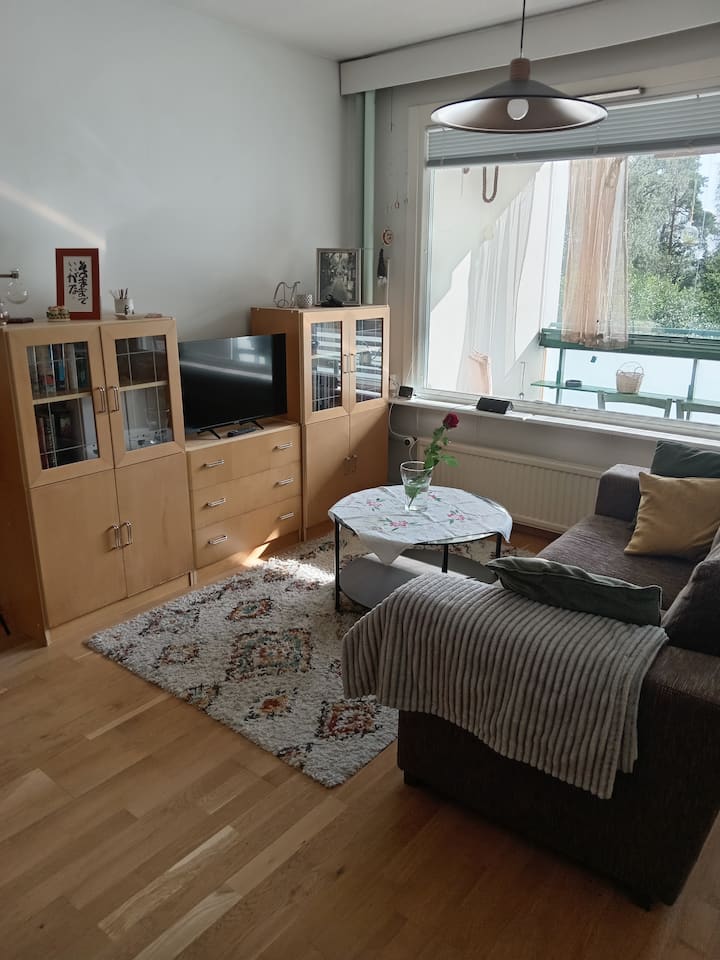 Iso Valoisa Kaksio Parvekkeella - Porvoo