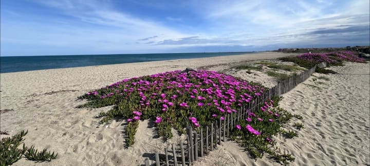 Ulysse Naturiste
2 Personnes - Leucate