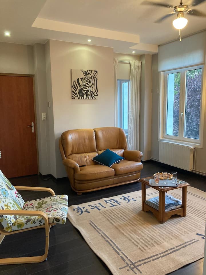 Appartement Arras - Arras