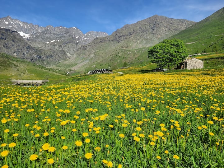 Casa Monviso - Crissolo