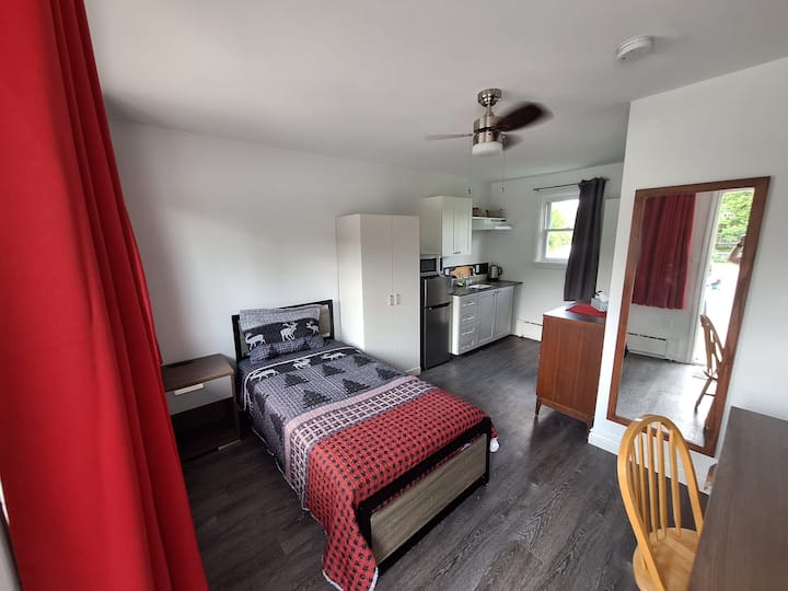 Quiet Studio Near Downtown - Kingston