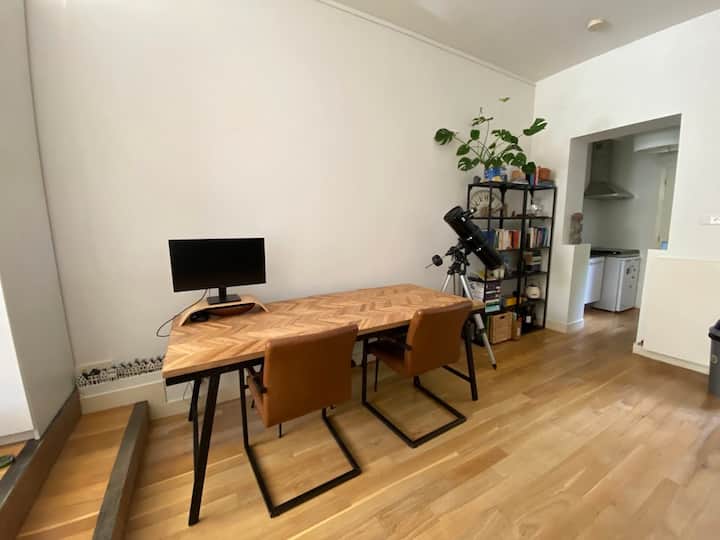 Sax & The City - Vondelpark - Ámsterdam