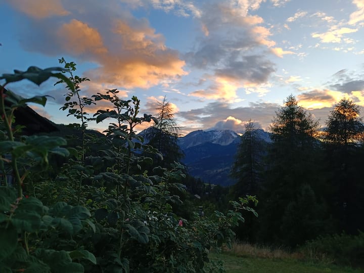 Casa Richardette Relax In The Woods - Bardonecchia