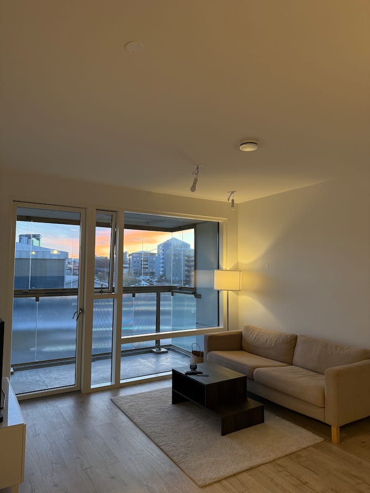 Cosy Apartment Minutes From Downtown Reykjavík. - Reykjavik