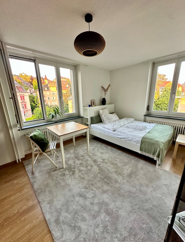 Sunny Studio In Central Zurich - Zürich
