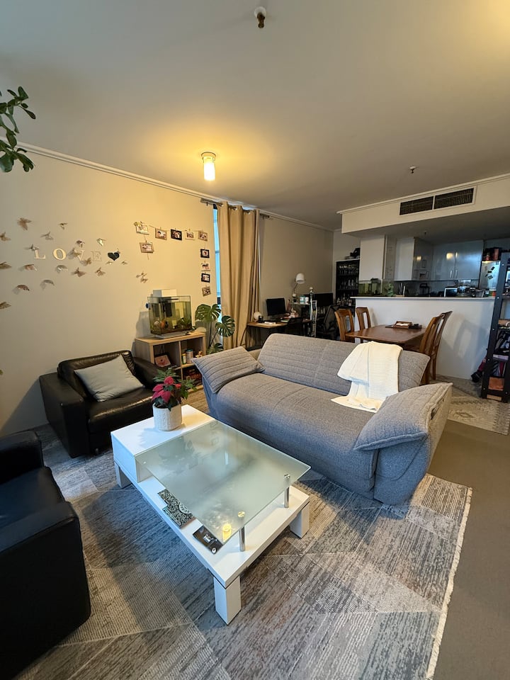 Bright & Lovely Unit In The Cbd - Sydney