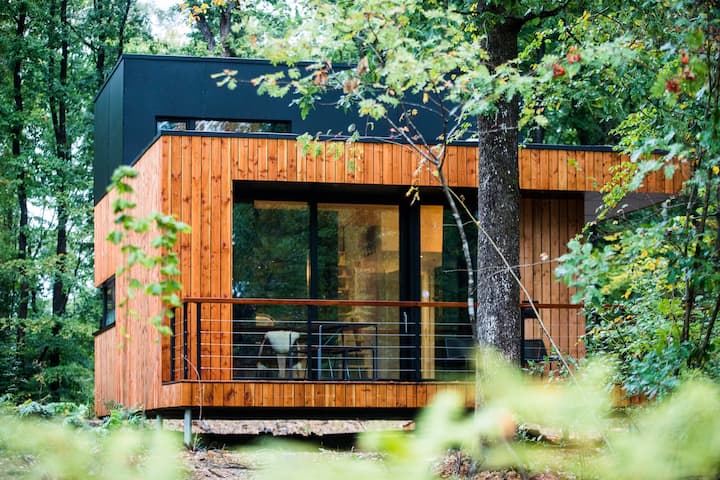 Forest Cube - Viroinval