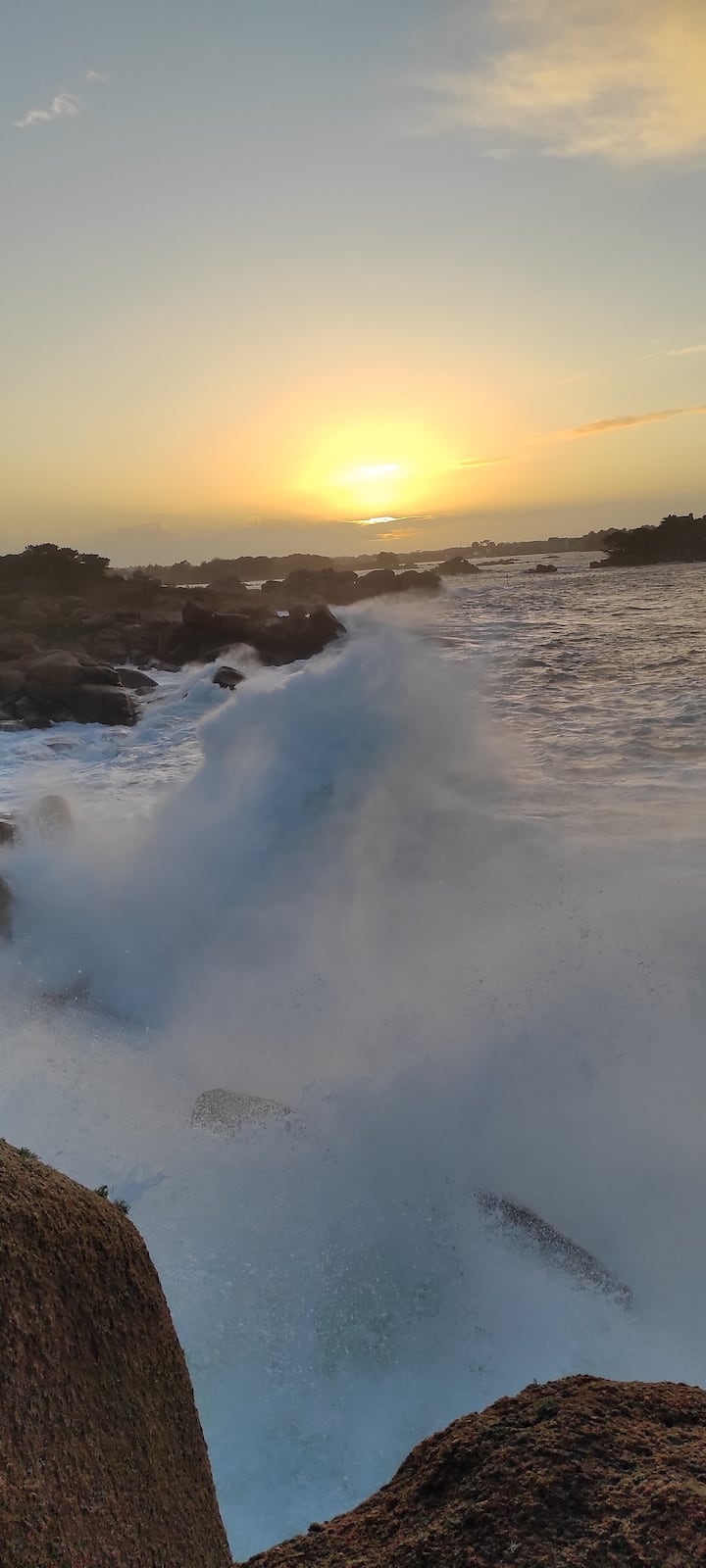 Cocon Vue Mer à L îLe Grande - Trebeurden