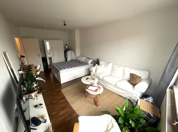 1-zimmer Wohnung+balkon Zu Mieten_mitte Hannover - Hannover