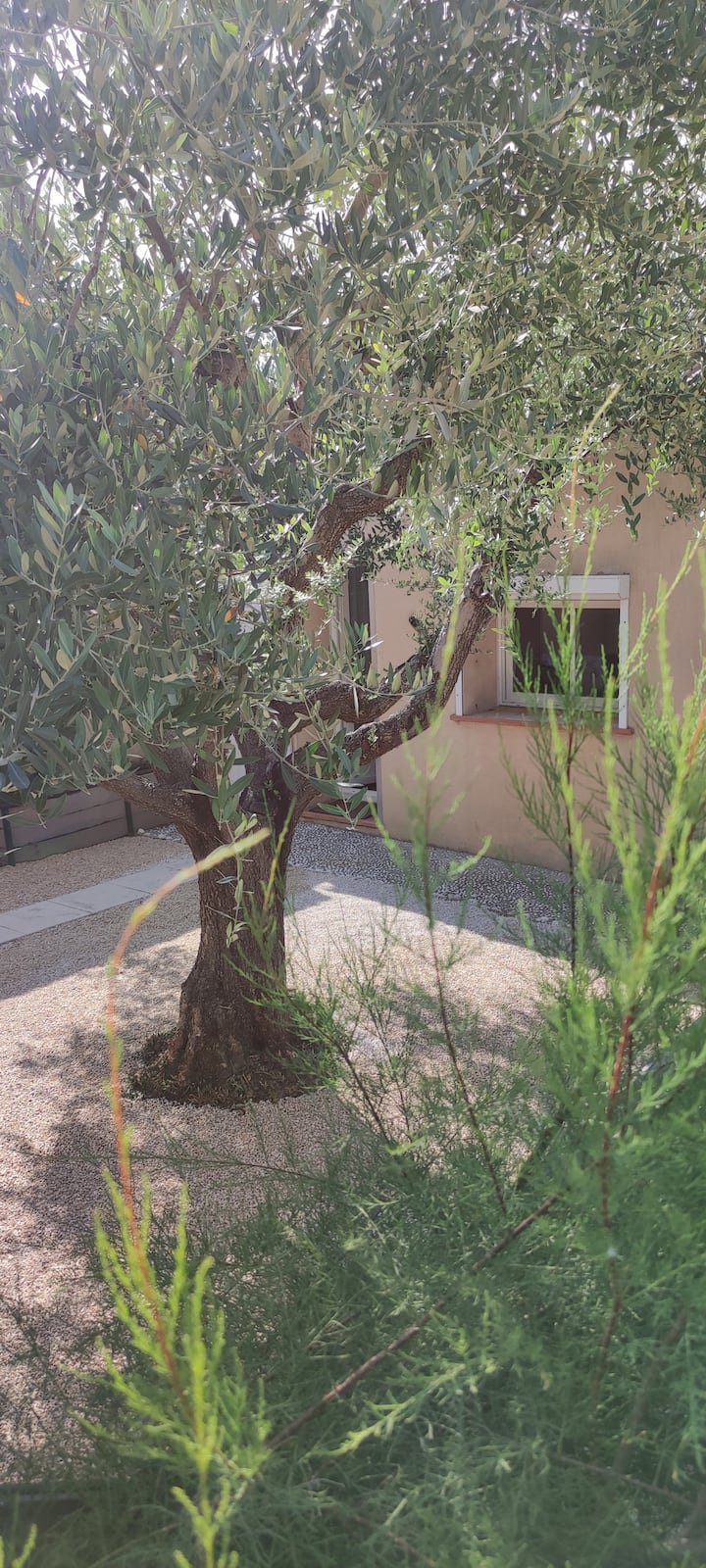 Maison Ciotat + Jardin Privatif Sous L'olivier - La Ciotat