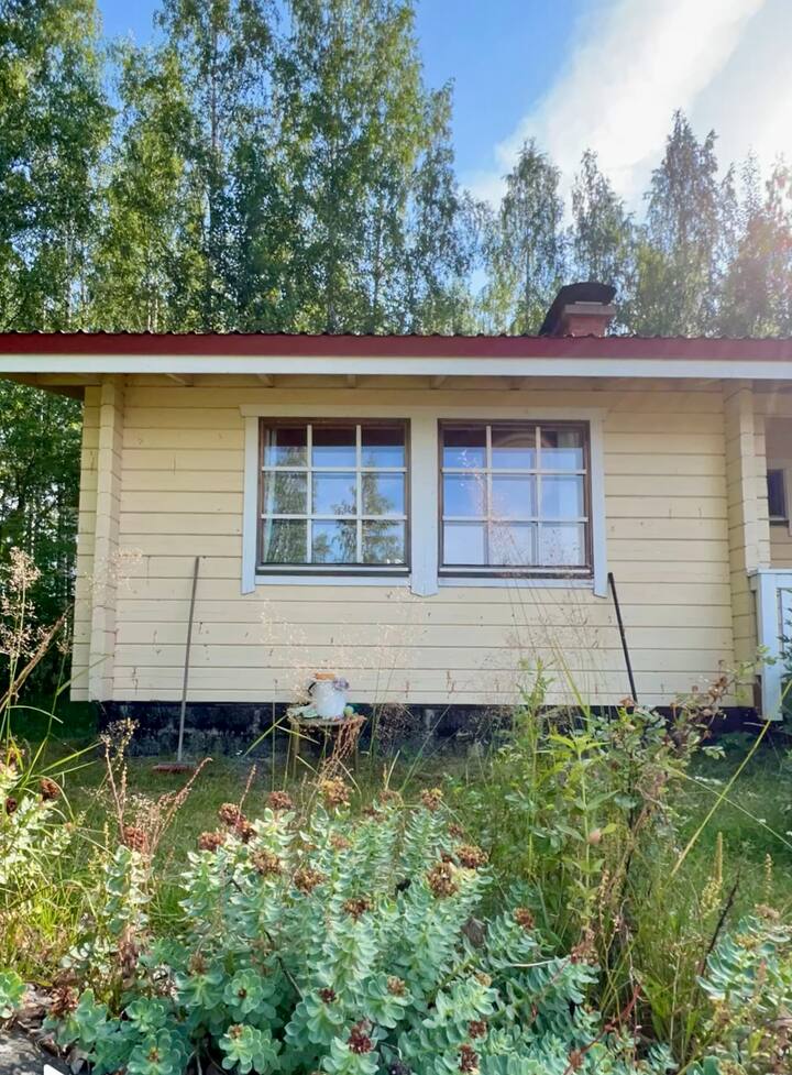 Viihtyisä Järvenrantamökki - Polvijärvi