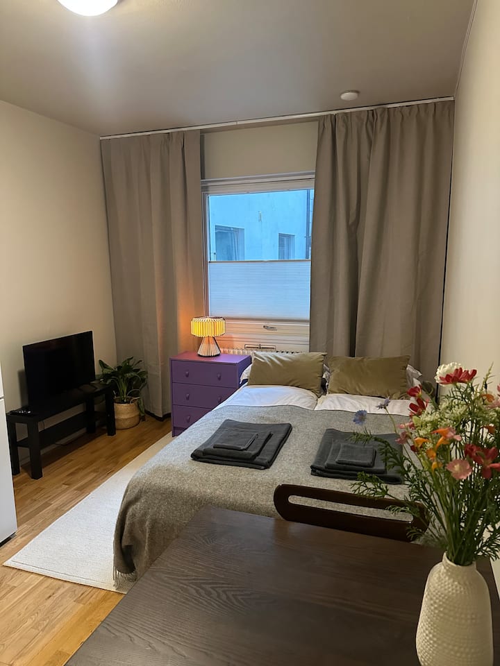 Sentral Studio Ved Aker Brygge, Slottet Og Vika. - Oslo