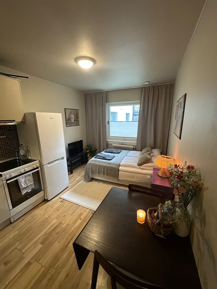 Sentral Studio Ved Aker Brygge, Slottet Og Vika. - Oslo