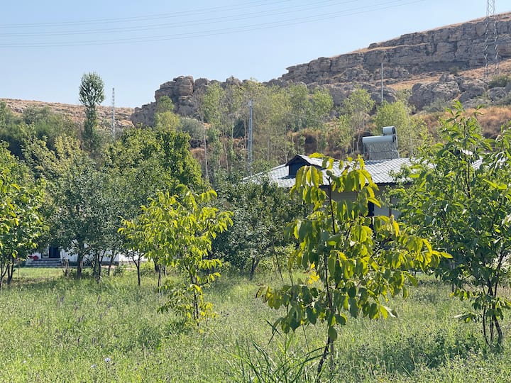 Green Valley Camping Van Lake House - Edremit-Van