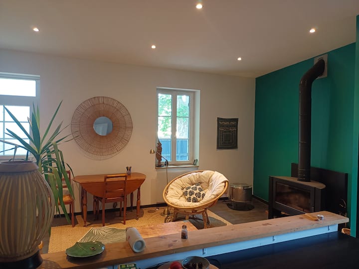 Maison Et Jardin Arboré Avignon - Avignon