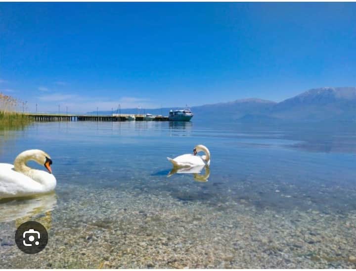 Lakeside Pogradec Zana's Apartment - Pogradec