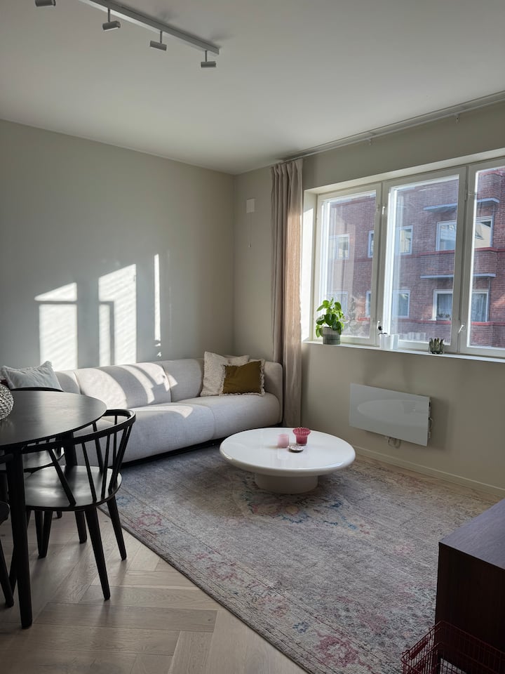 Leilighet I Oslo - Oslo