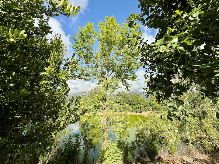 Private Gem In Kfardebiane - Lebanon