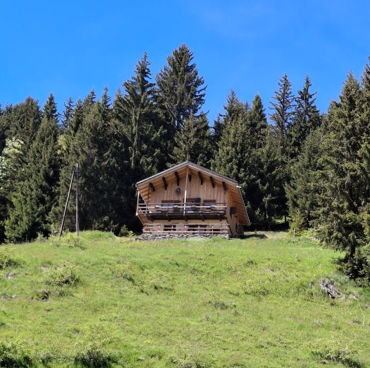 Chalet Dans Le Beaufortain à Bisanne 1500 - Beaufort
